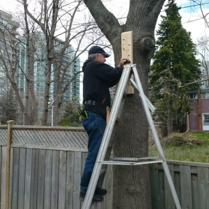 In the Garden: Bee Rest Stations | PARKVIEW NEIGHBOURHOOD GARDEN